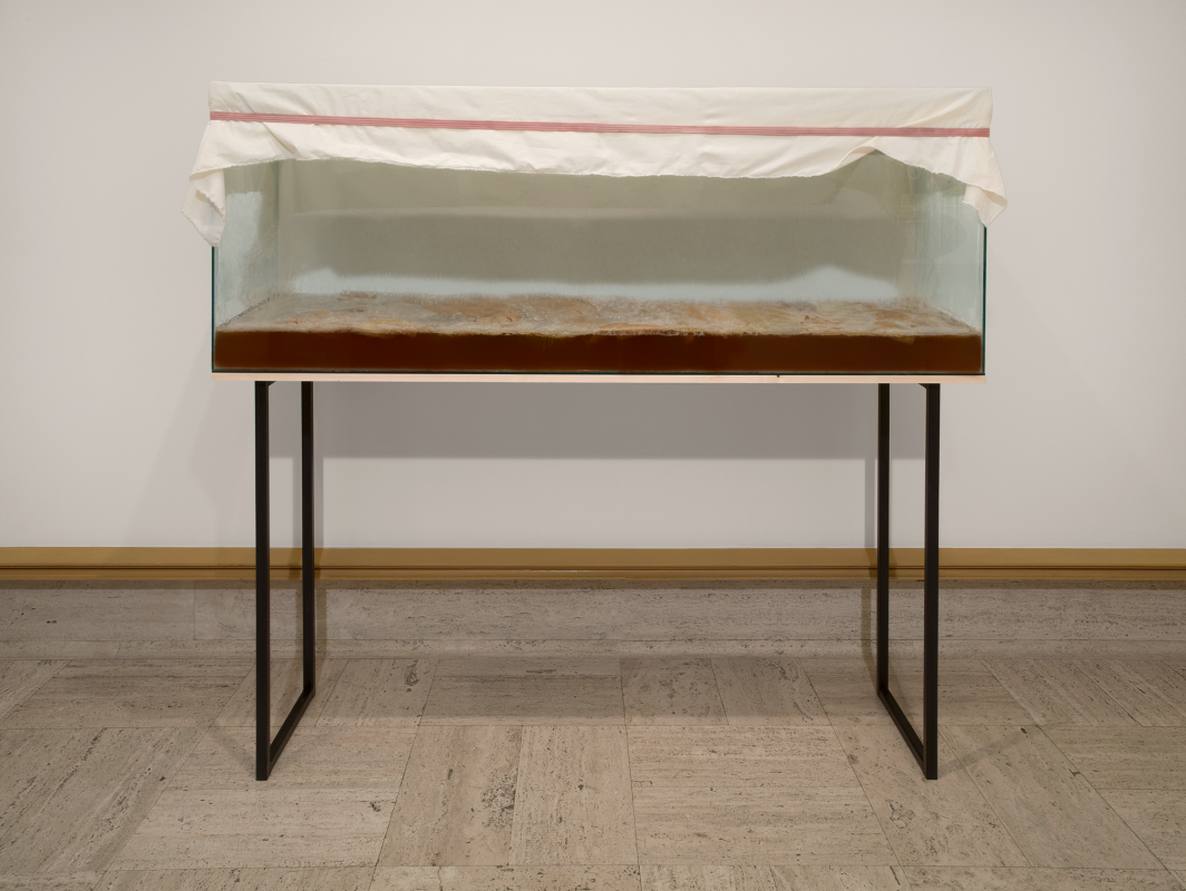 Graduate Degree Exhibition | Cranbrook Academy of Art