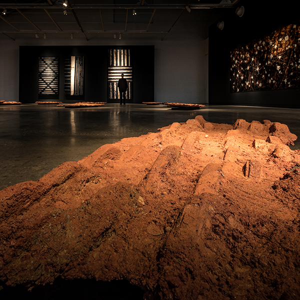 Thomas Sayre Tampa Installation | Cranbrook Academy of Art