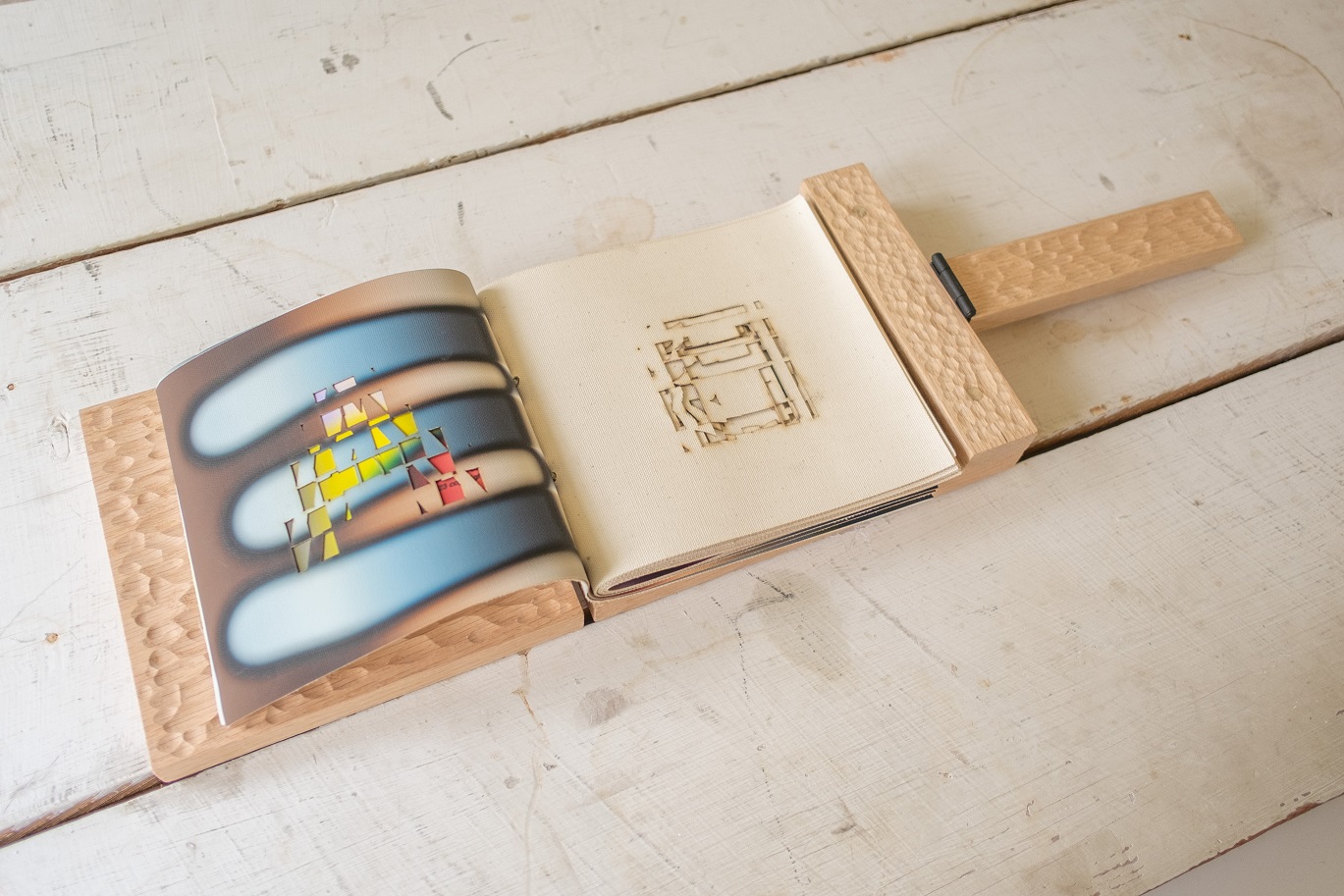 Explore a Selection of the Class of 2023’s Thesis Books – Cranbrook ...