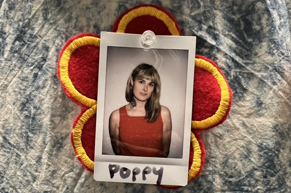 Fiber Alum Poppy Delta Dawn Featured in Hyperallergic Pride Month ...
