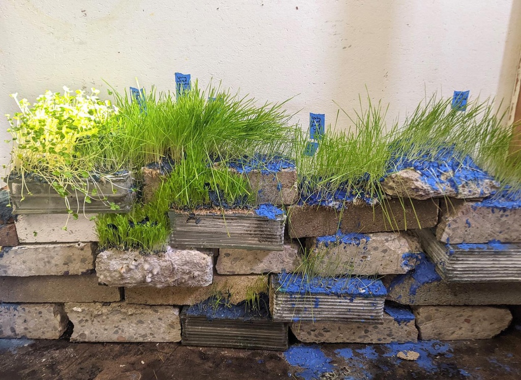 Megan Heeres' Solo Exhibition "Tending Time" Opens at Matéria, Formerly Simone de Sousa Gallery ...